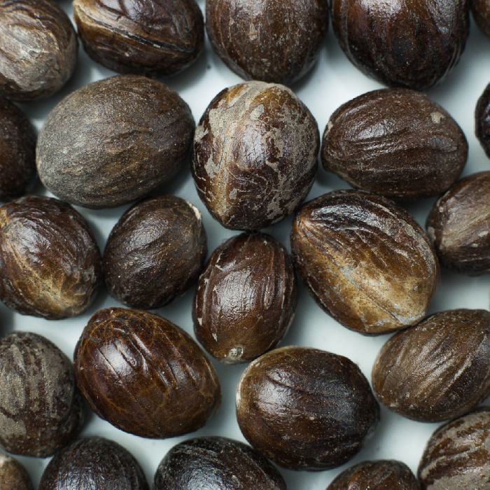 Buah Pala Logo BUAH PALA/NUTMEG – Manja Foods